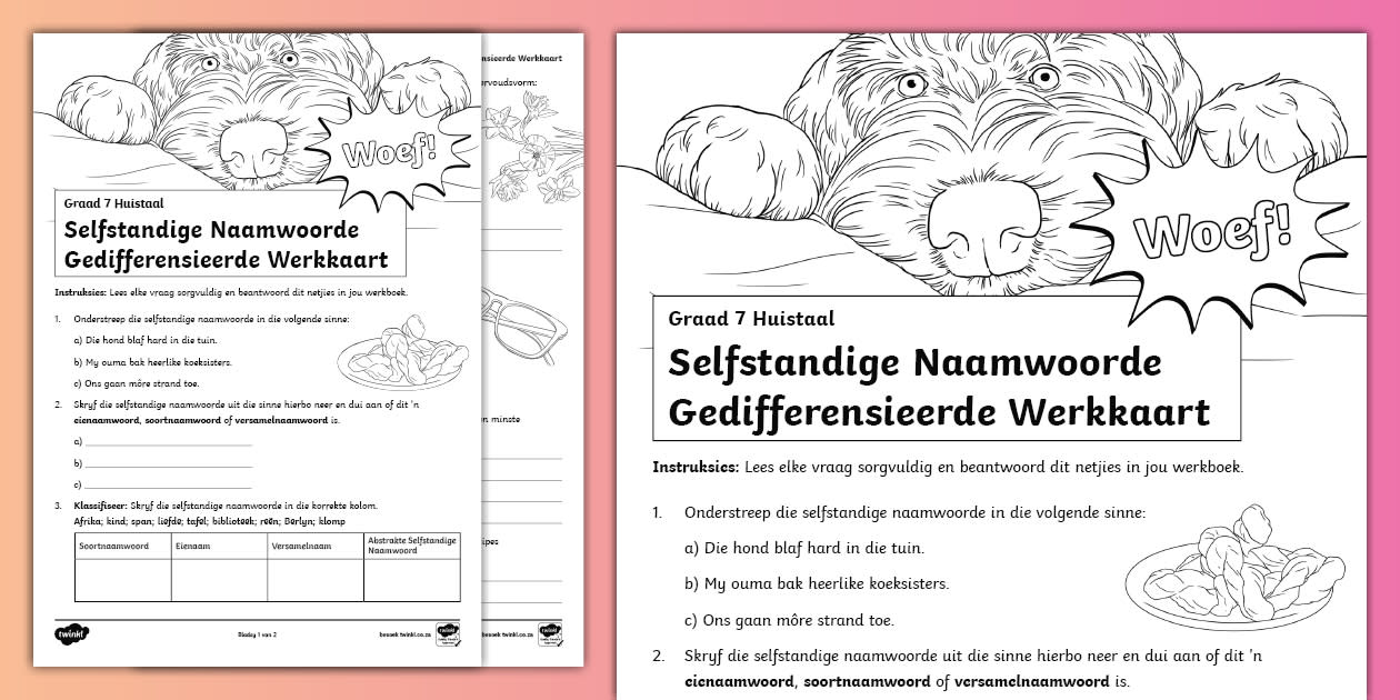 Selfstandige Naamwoorde Gedifferensieerde Werkkaart - Twinkl
