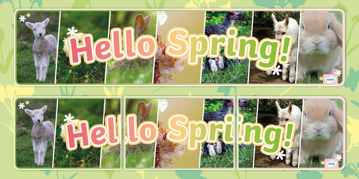 Spring Animals Photo Display Banner (teacher made) - Twinkl