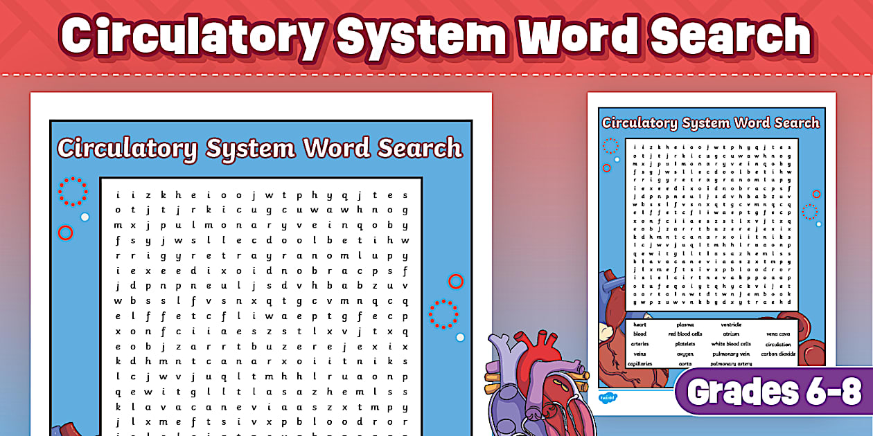 Circulatory System Life Science Word Search 6th-8th Grade