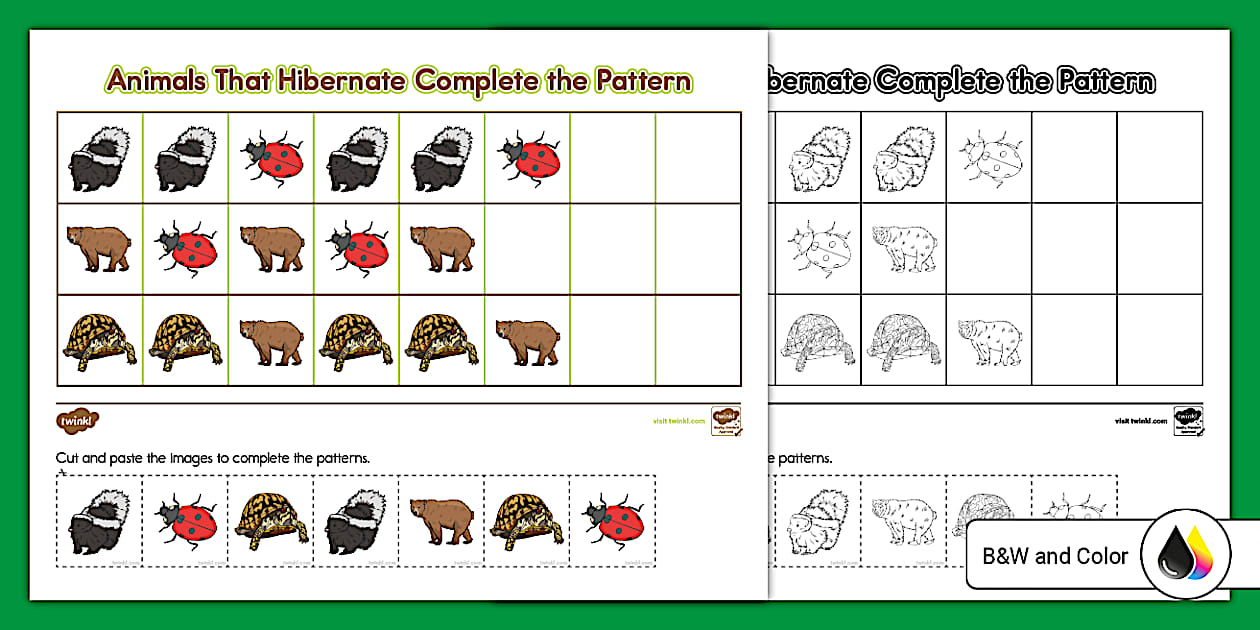 Animals That Hibernate Complete the Pattern Worksheet