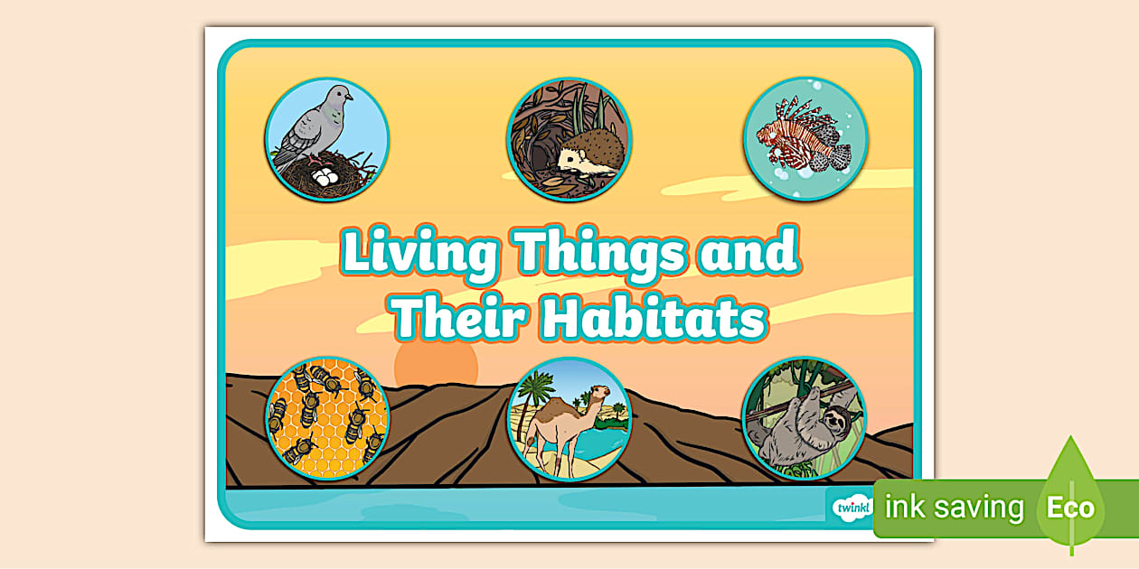 👉 Living Things and Their Habitats Topic Display Poster