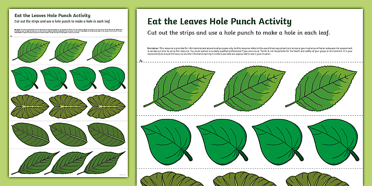 Eat the Leaves Hole Punch Activity | Twinkl (Teacher-Made)
