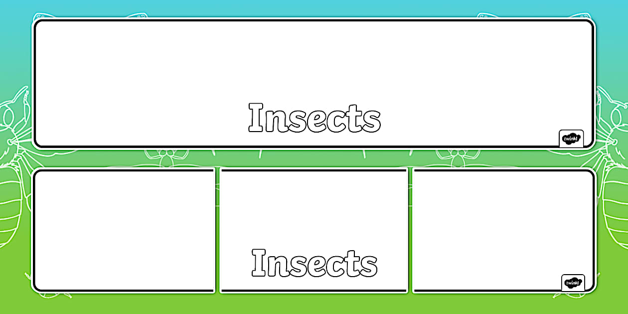Insects Collaborative Drawing Display Banner (teacher made)