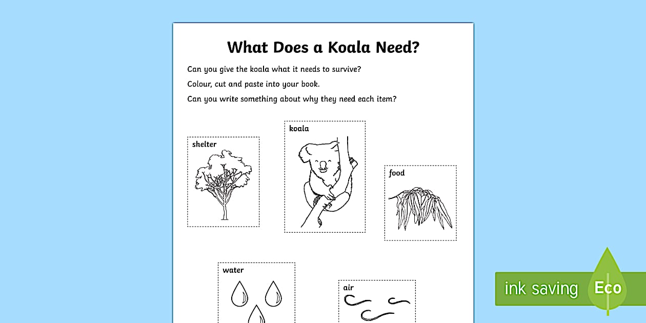 What Does A Koala Need? Worksheet / Worksheet-Australia