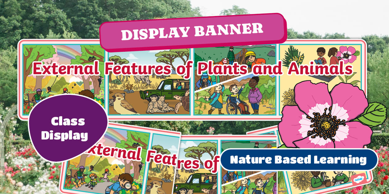 Outdoor STEM Banner – External Features Plants and Animals