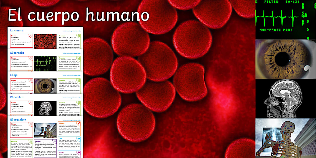 Imagine Human Body KS2 Resource Pack Spanish - Twinkl