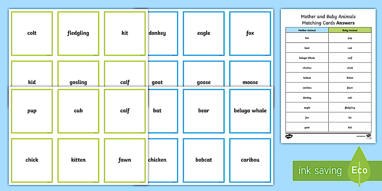 Animal Matching Cards Printable | Mother and Baby - Twinkl