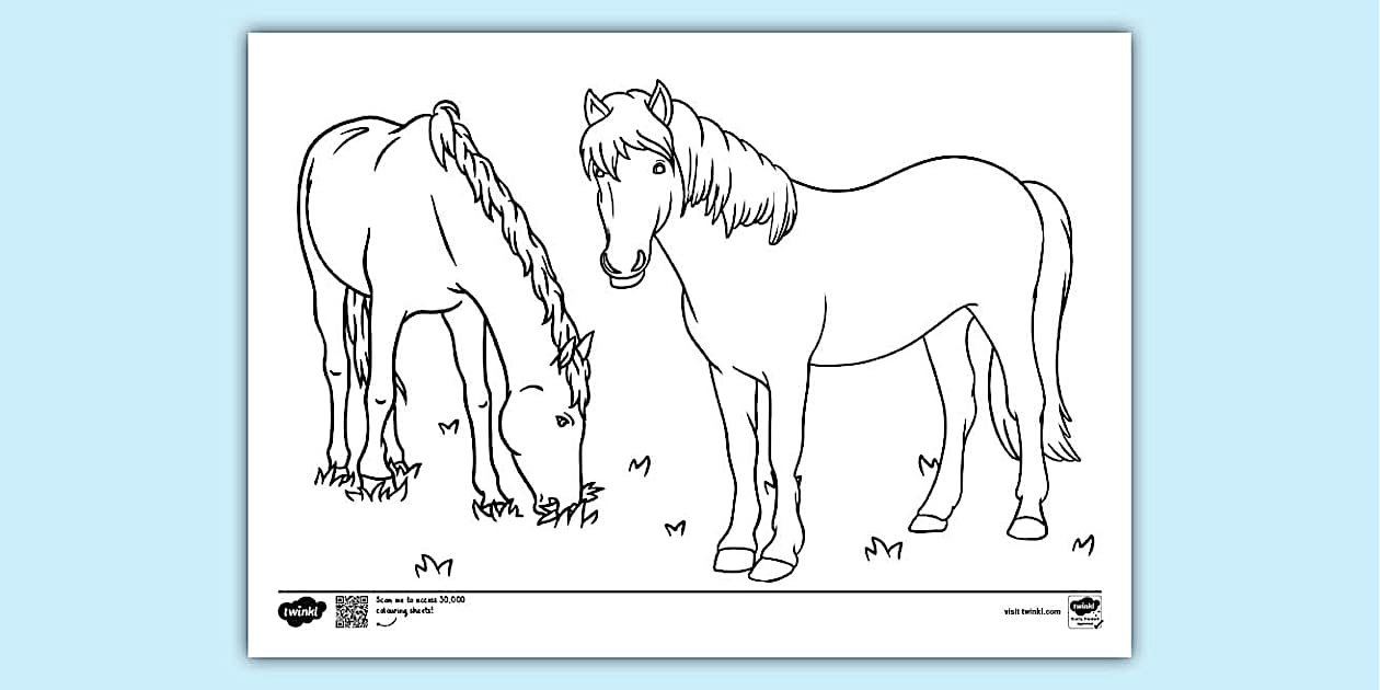 Horse and Pony Colouring Pages (teacher made) - Twinkl