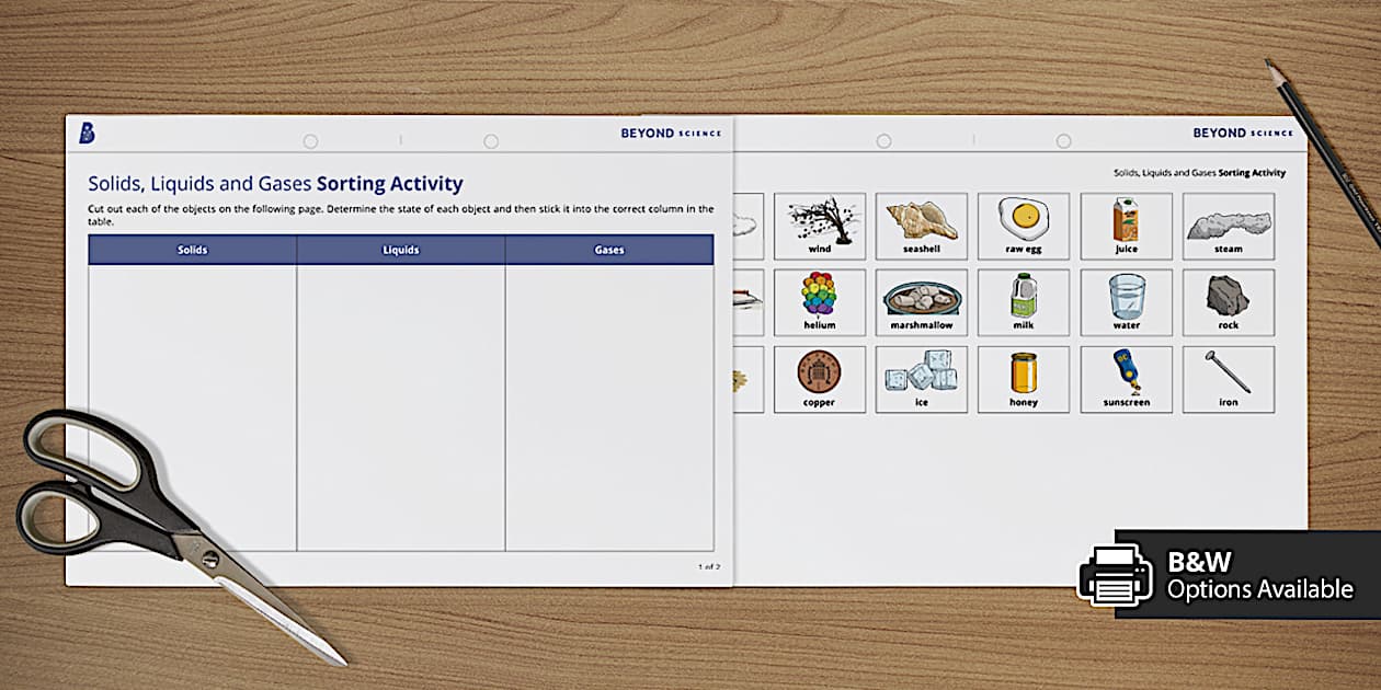 Solids, Liquids and Gases Sorting Activity (Teacher-Made)