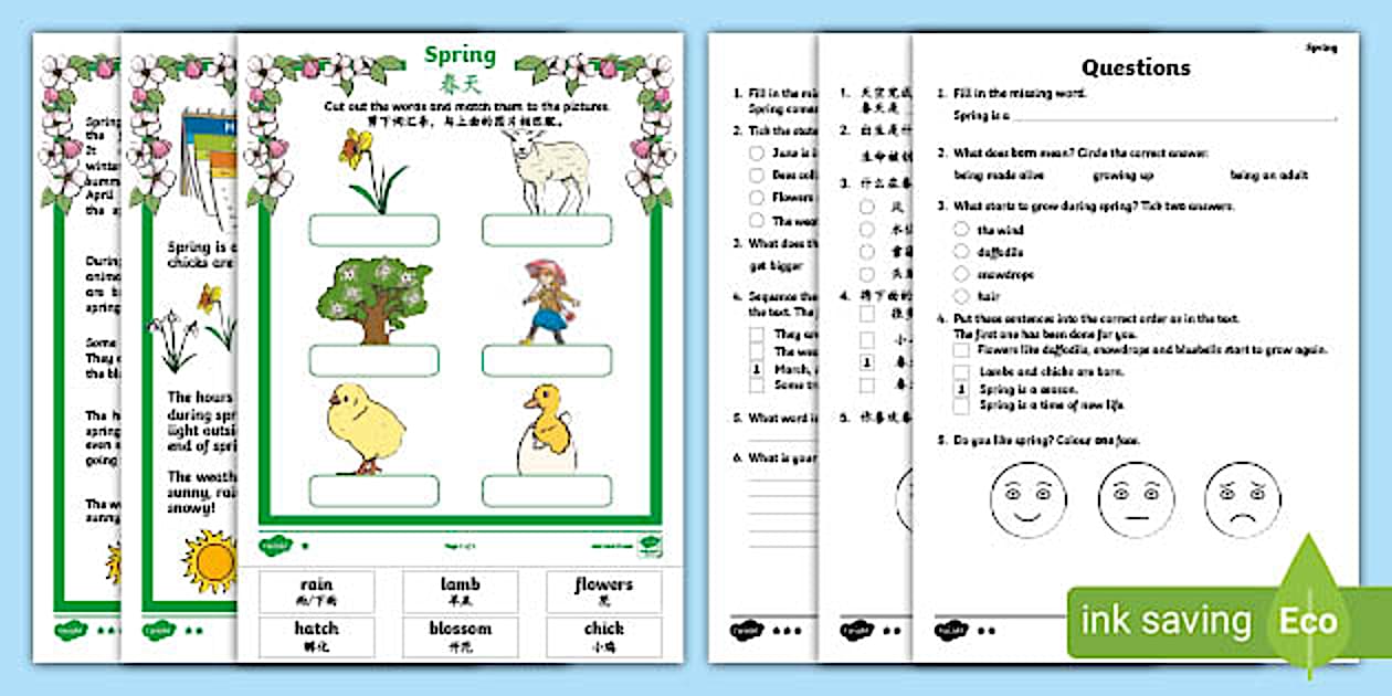 Let's Find Out About Spring Differentiated Reading Comprehension