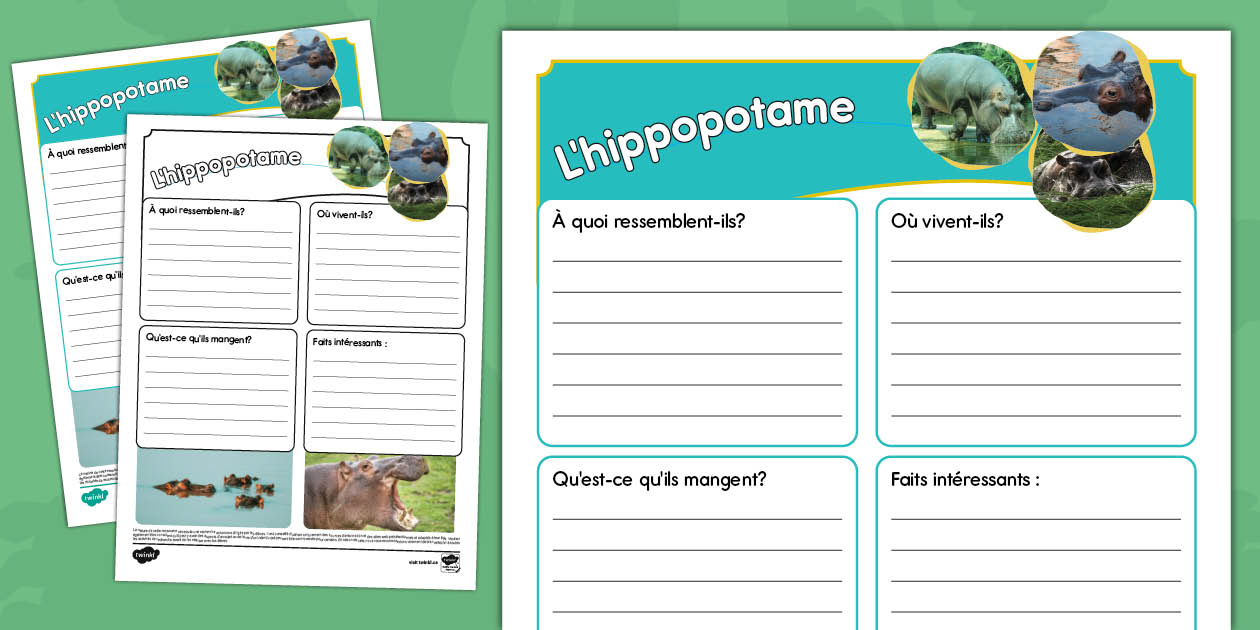 Fiche d'informations : L'hippopotame (teacher made) - Twinkl
