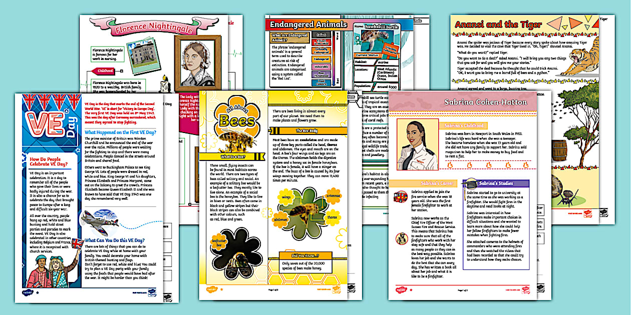 LKS2 May Reading Comprehension Activity Pack (teacher made)