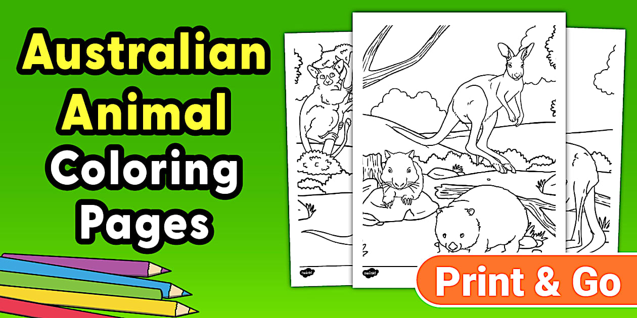Australian Animal Coloring Pages (teacher made) - Twinkl