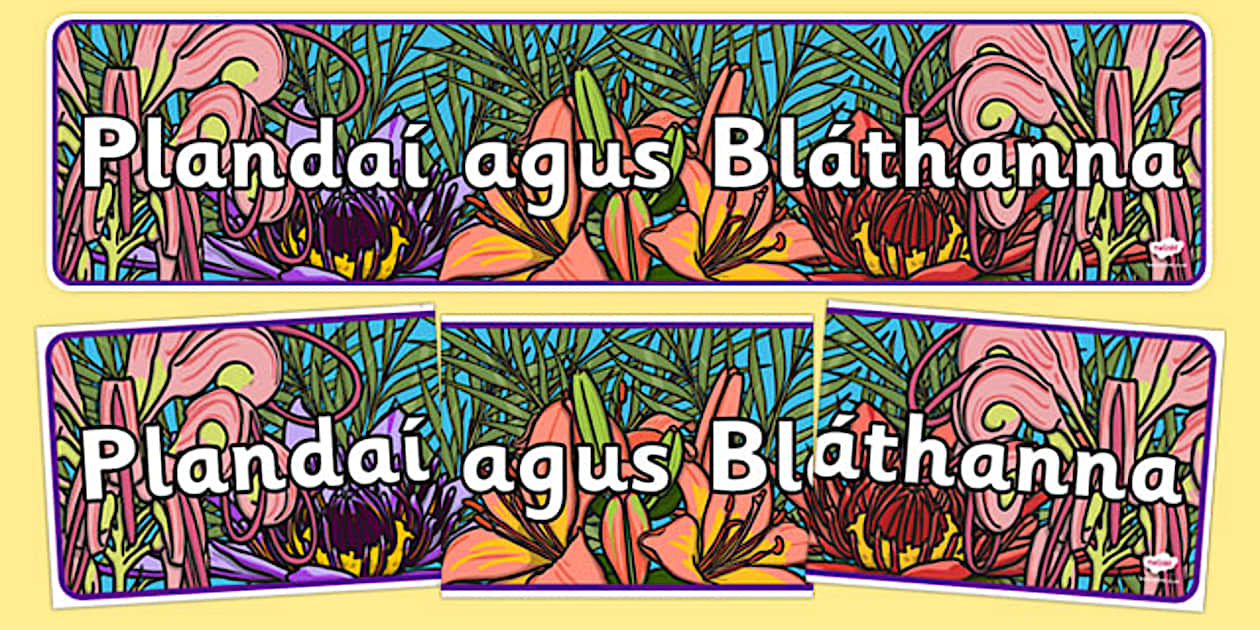 Dyslexic Plants and Flowers Display Banner Gaeilge - Twinkl
