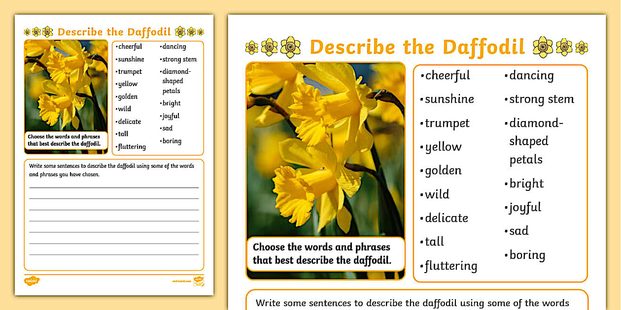 Describe the Daffodil Worksheet (teacher made) - Twinkl