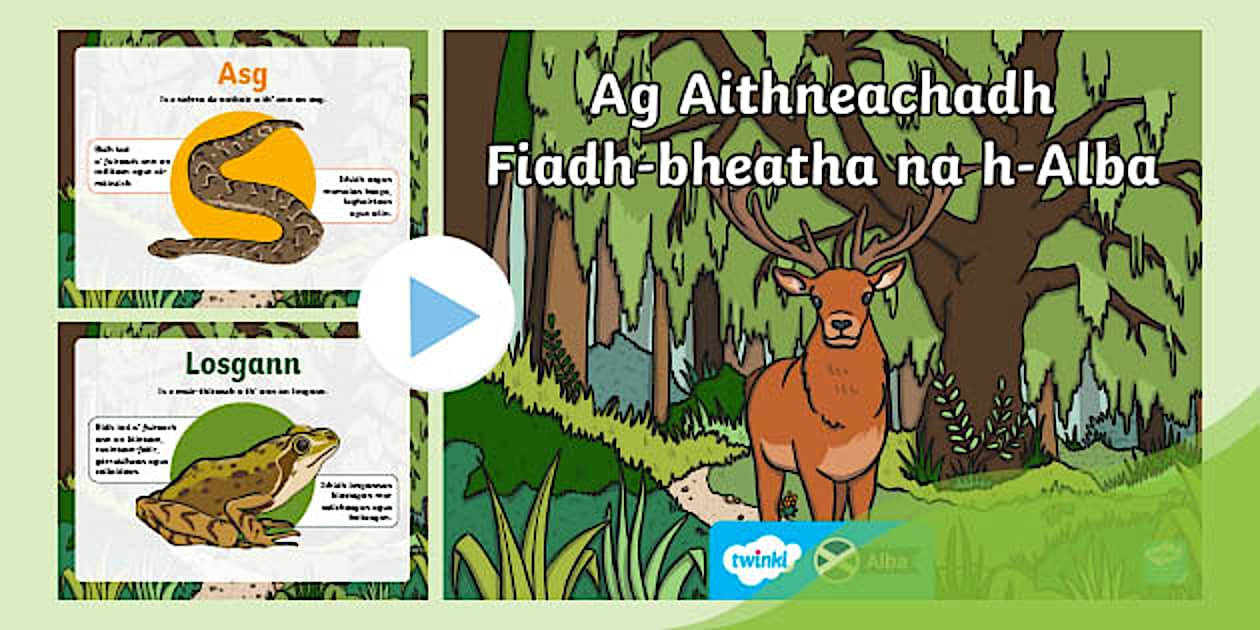 PowerPoint Ag Aithneachadh Fiadh-bheatha na h-Alba - FtMG