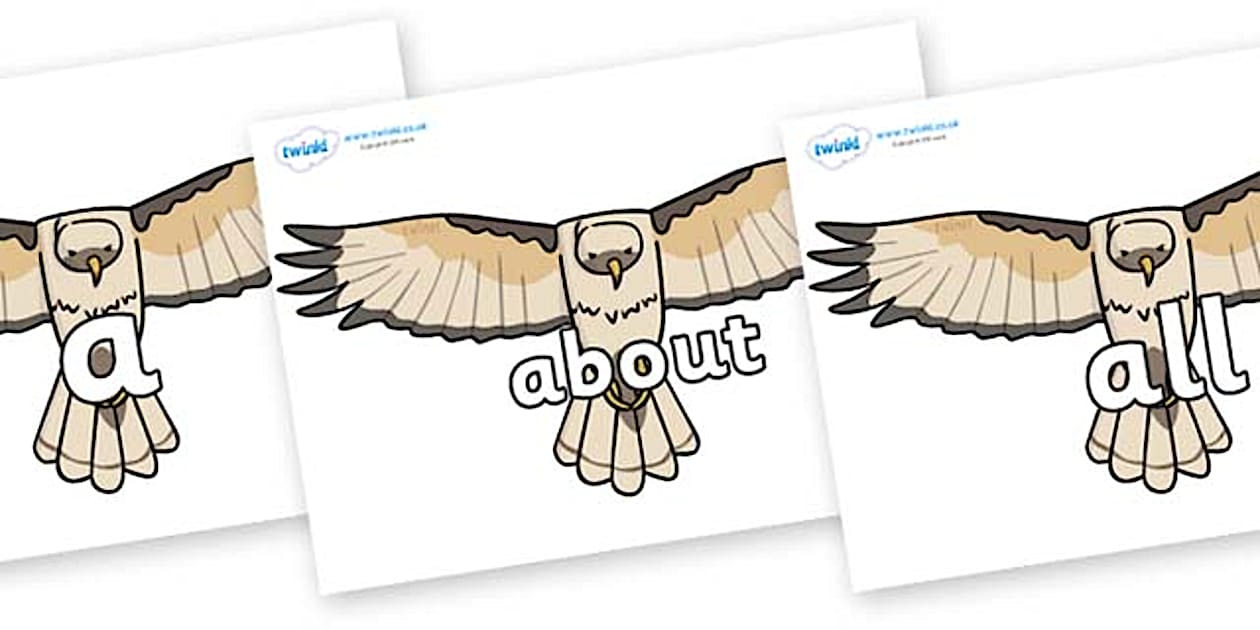 100 High Frequency Words on Hawks (teacher made) - Twinkl