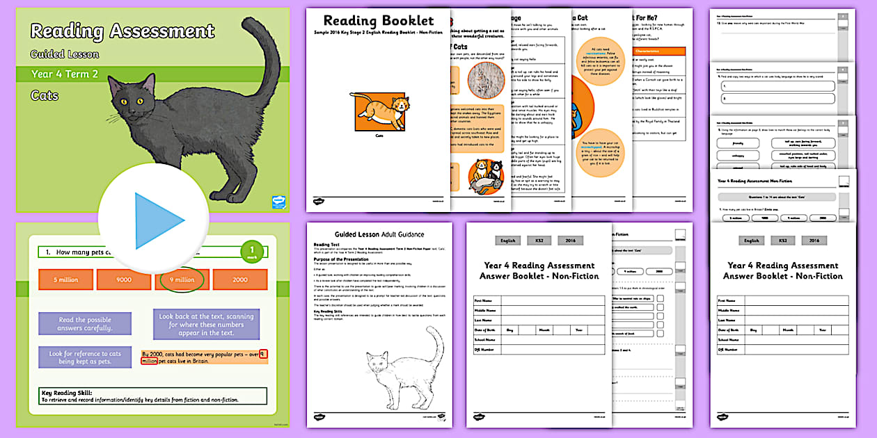 Year 4 Term 2 Non-Fiction Reading Assessment Guided Lesson Teaching Pack