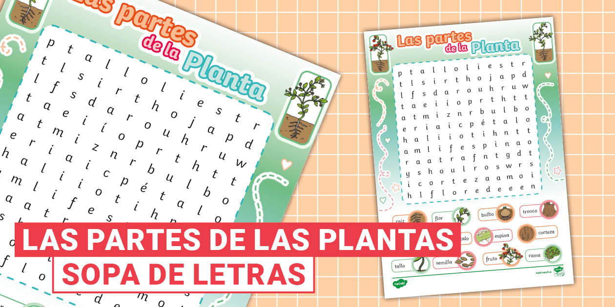 Sopa de letras: Las partes de las plantas