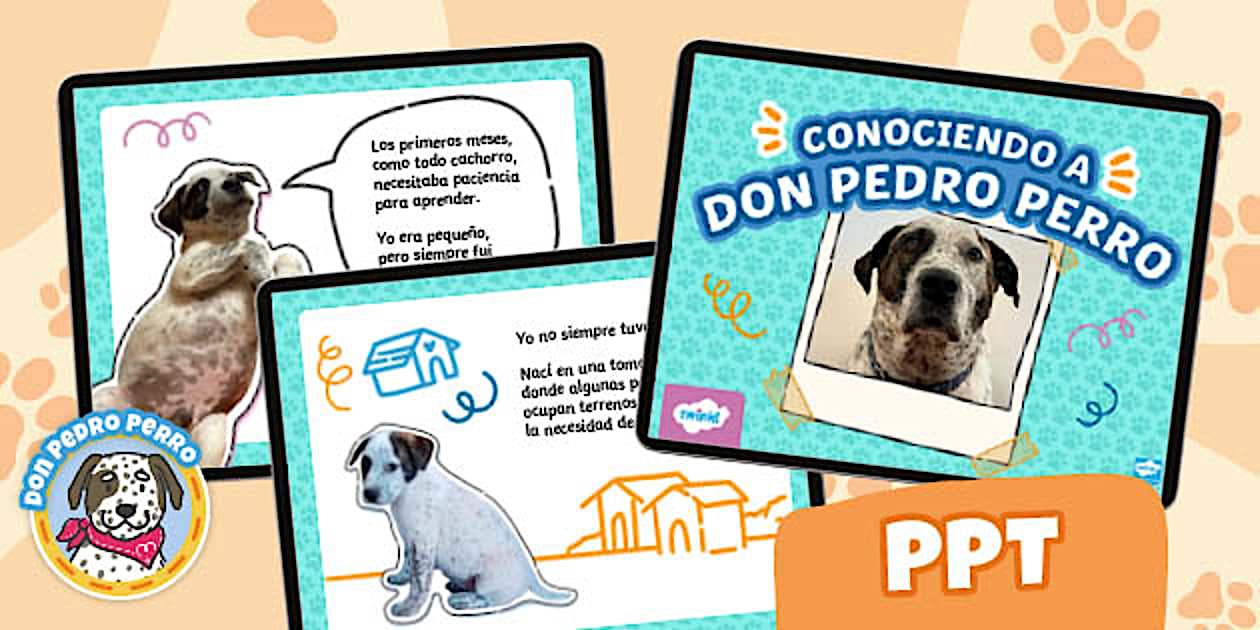 PowerPoin | Conoce a Pedro Perro | Perro Influencer