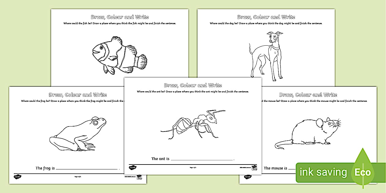 Draw, Colour and Write Activities for Early Years students