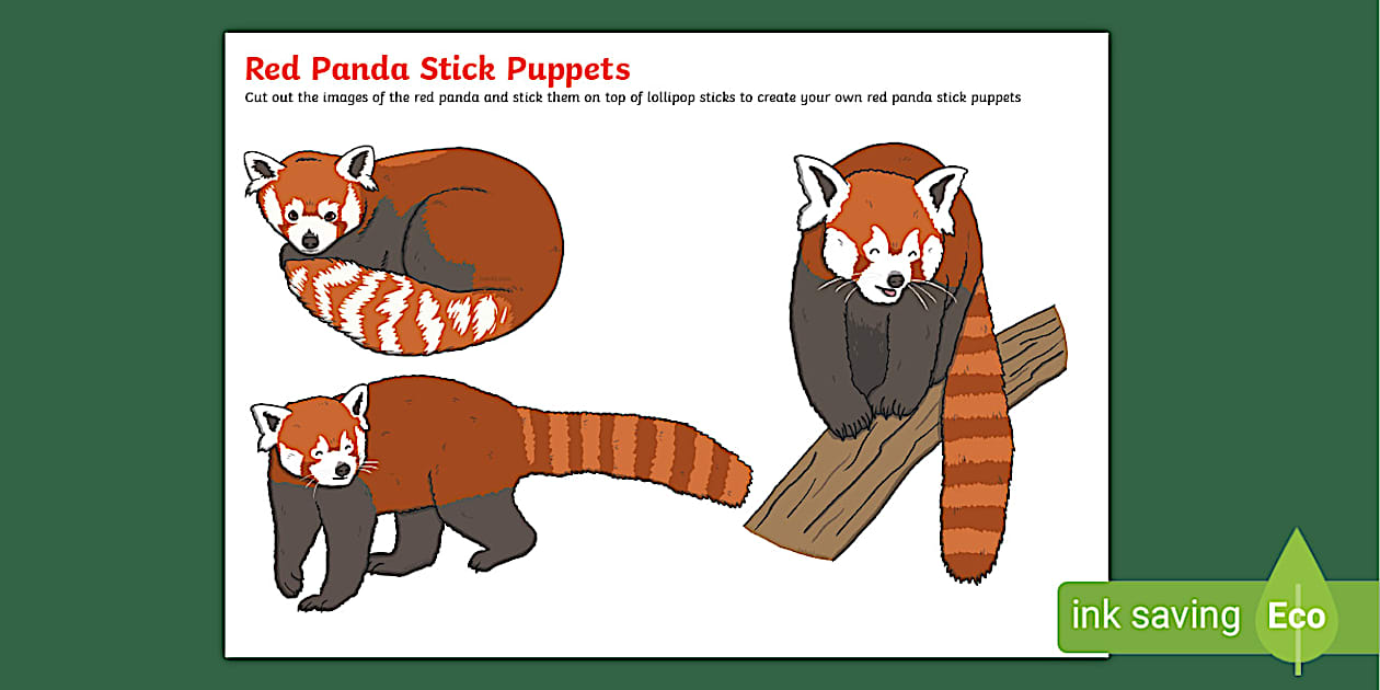 Red Panda Craft - Primary Resources (teacher made) - Twinkl