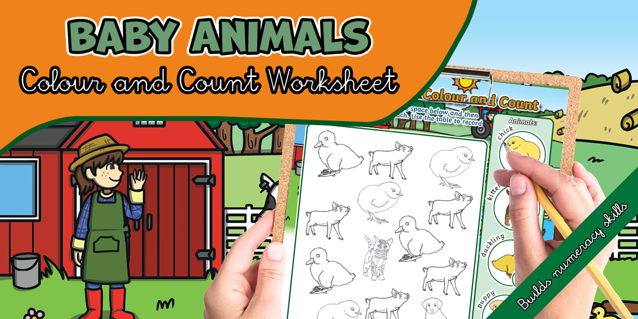 * NEW * Baby Animals Colour and Count Worksheet