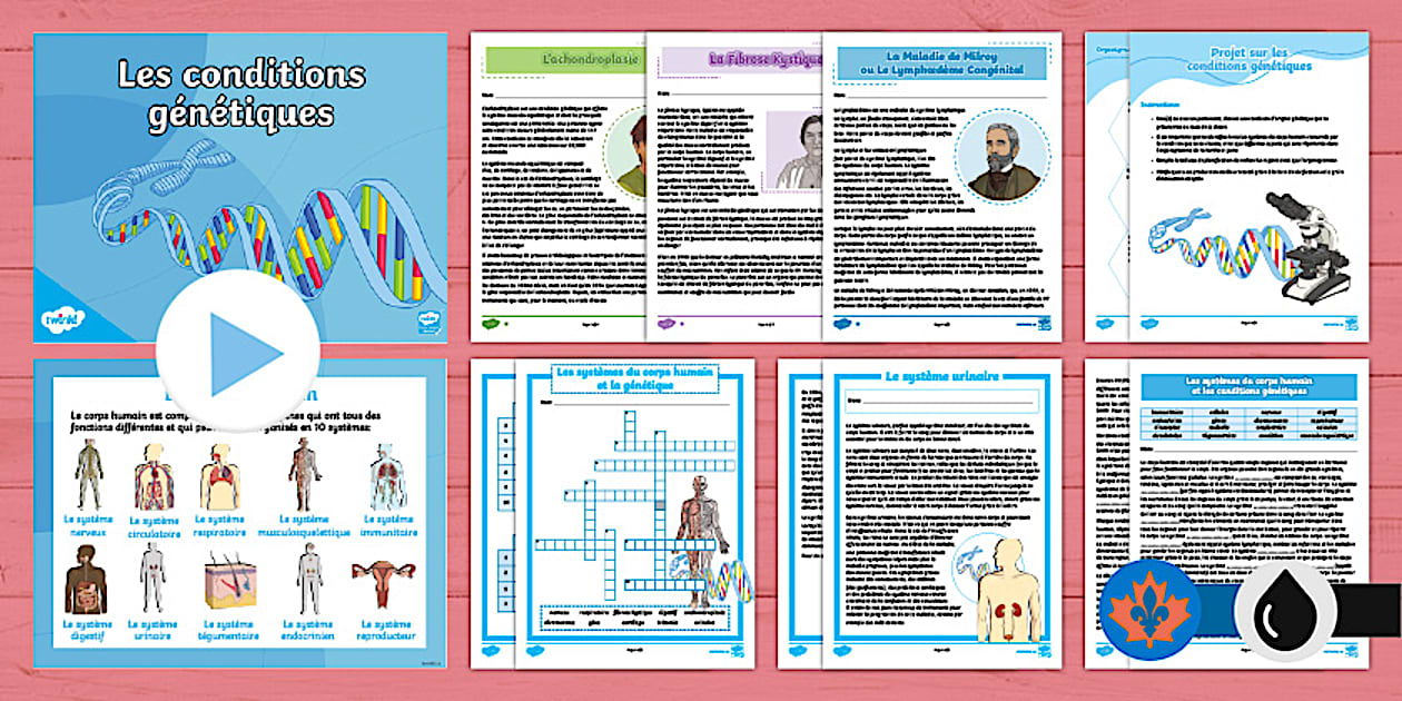 Genetic Disorders and Human Body Systems Pack French