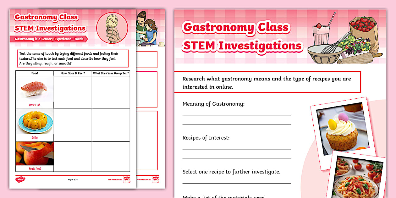 Gastronomy Class STEM Investigations (teacher made) - Twinkl