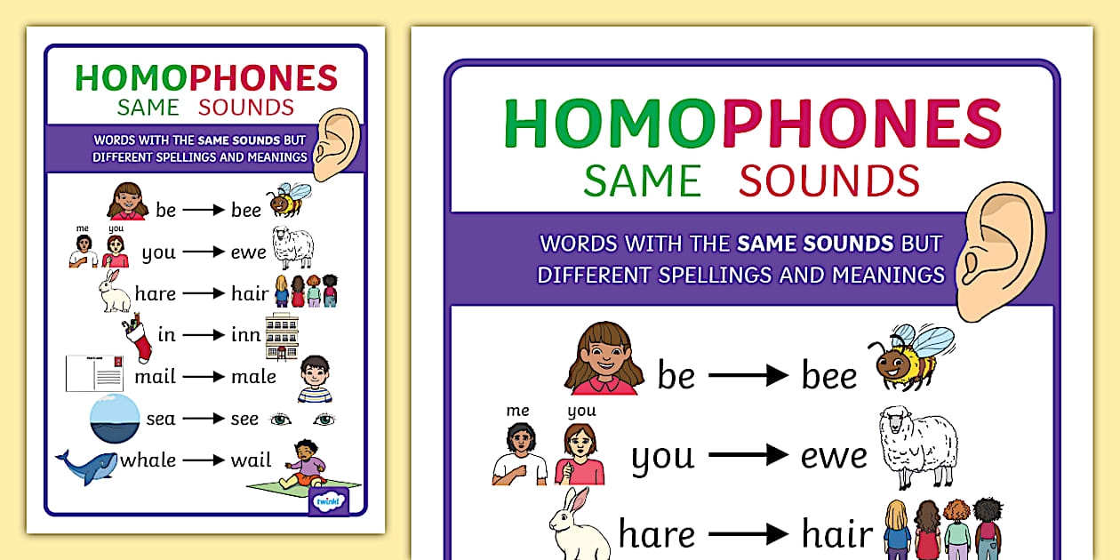 Large Homophone Display Poster (teacher made) - Twinkl