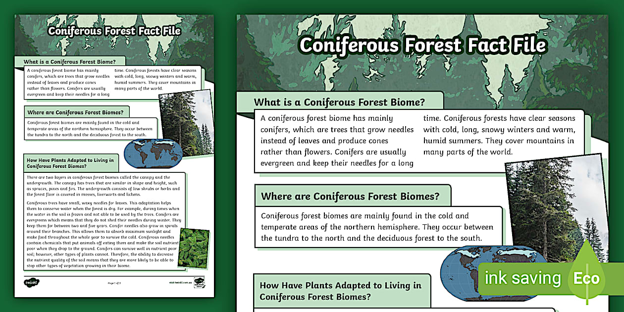 Coniferous Forest Biome Fact File | Environmental Adaptation