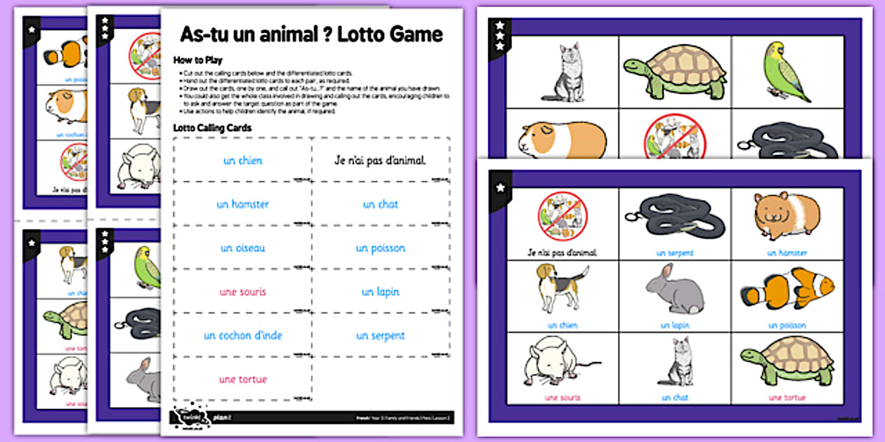 French Have You Got a Pet? Lotto Game (teacher made)
