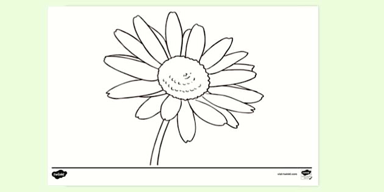 Large Flower Colouring Page | Colouring Sheets - Twinkl