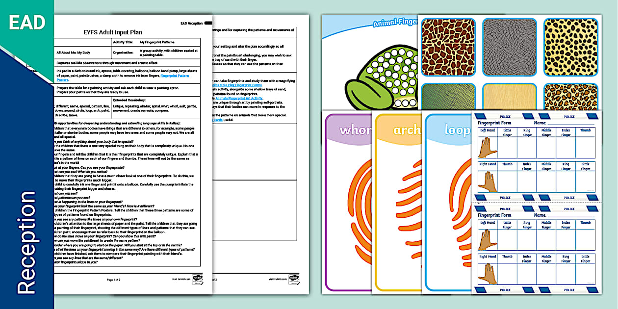 EYFS Fingerprint Patterns Adult Input Plan and Resource Pack