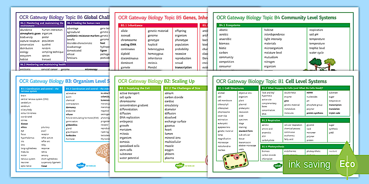 OCR Gateway Biology Word Mats (teacher made) - Twinkl
