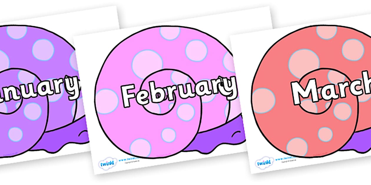 Months of the Year on Sea Snail (teacher made) - Twinkl