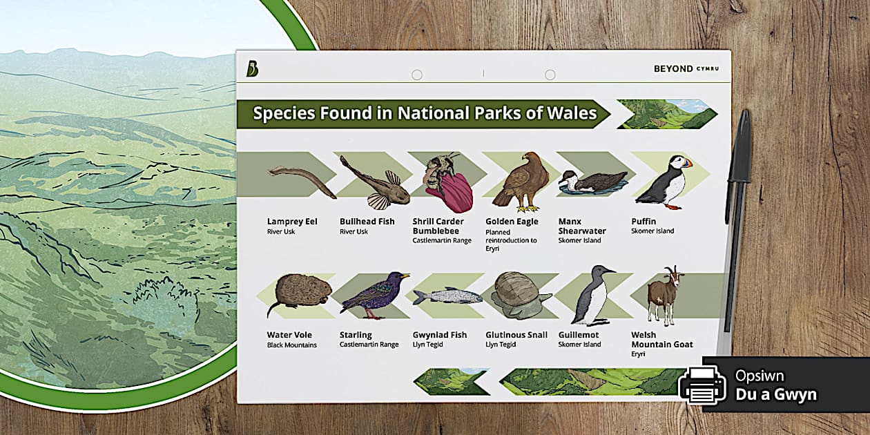 National Parks of Wales Word Mat (Teacher-Made) - Twinkl
