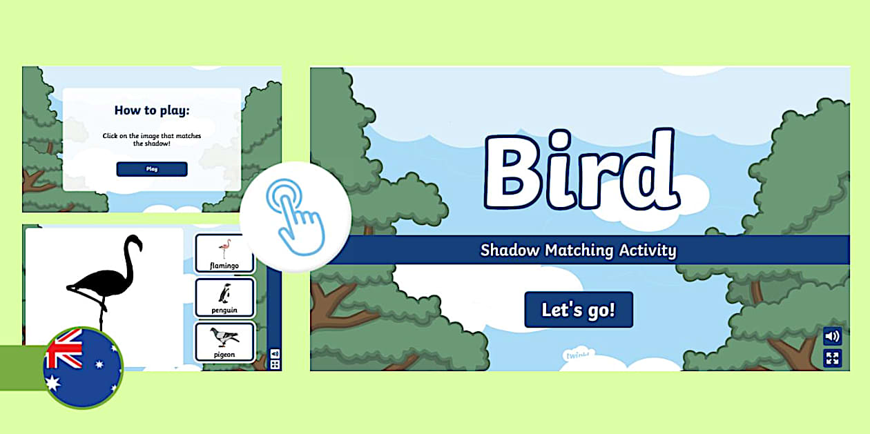 Bird Shadow Matching Activity (Teacher-Made) - Twinkl