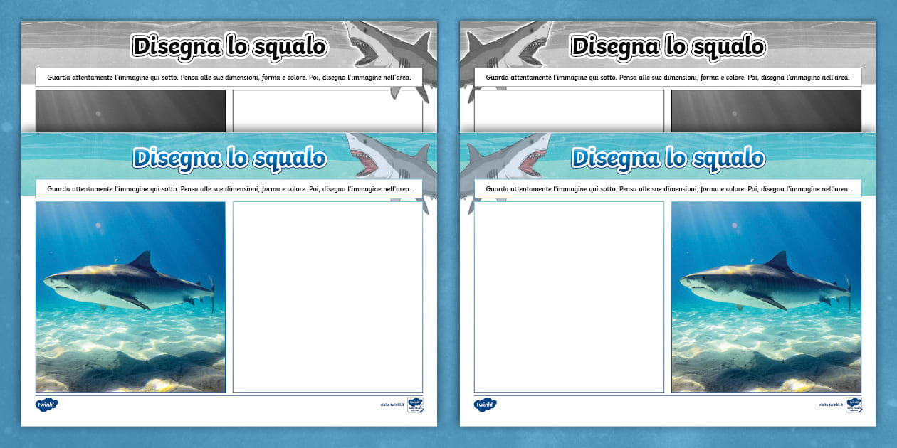 Attività: Disegna lo squalo - Twinkl