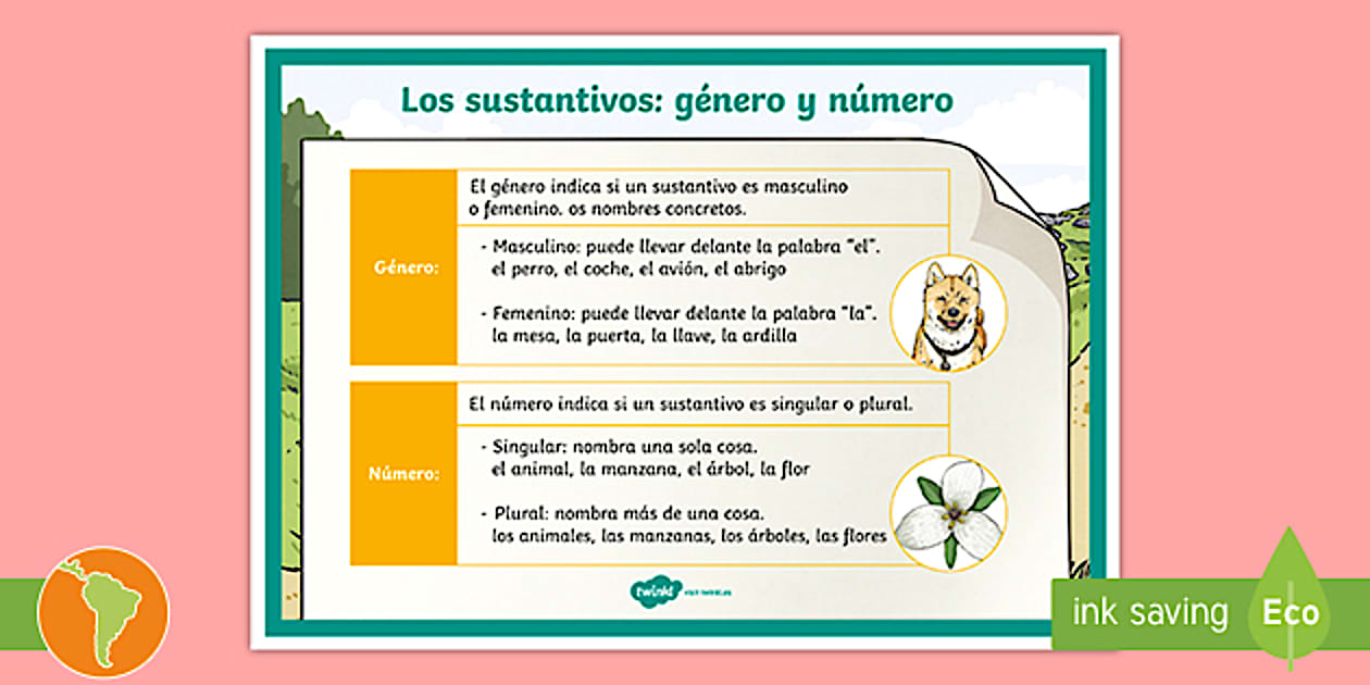 Hoja informativa: Los sustantivos - género y número- Guía de trabajo