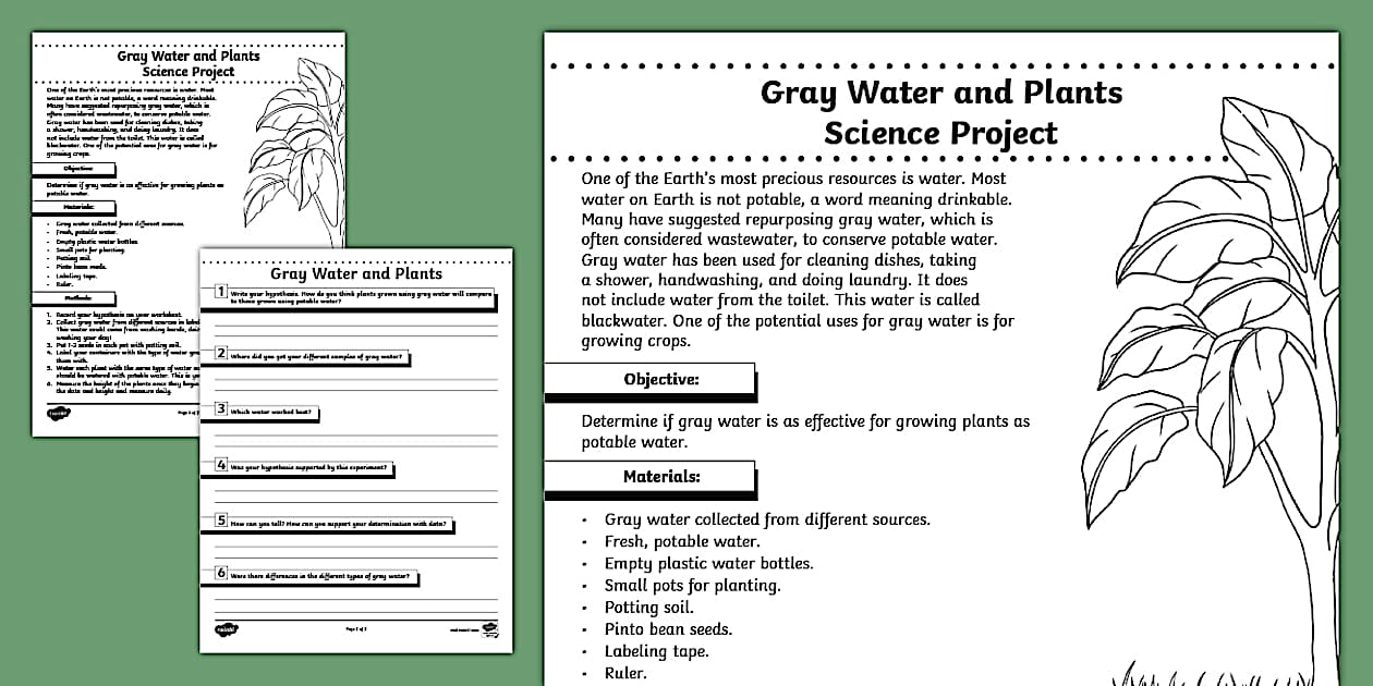 Gray Water and Plants Science Project | Twinkl USA - Twinkl