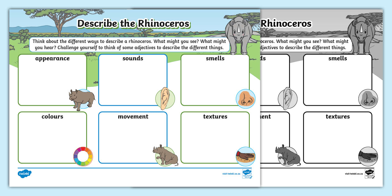 Rhinoceros Adjectives Worksheet (Teacher-Made) - Twinkl