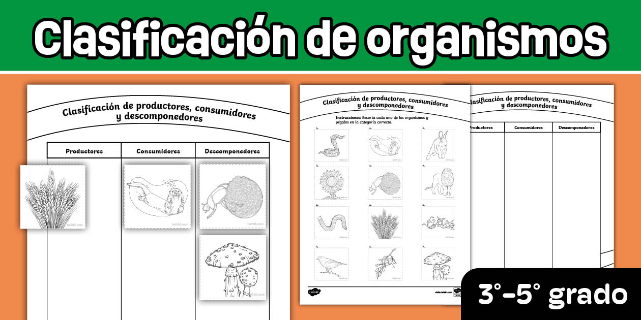 Clasificación productores, consumidores, descomponedores