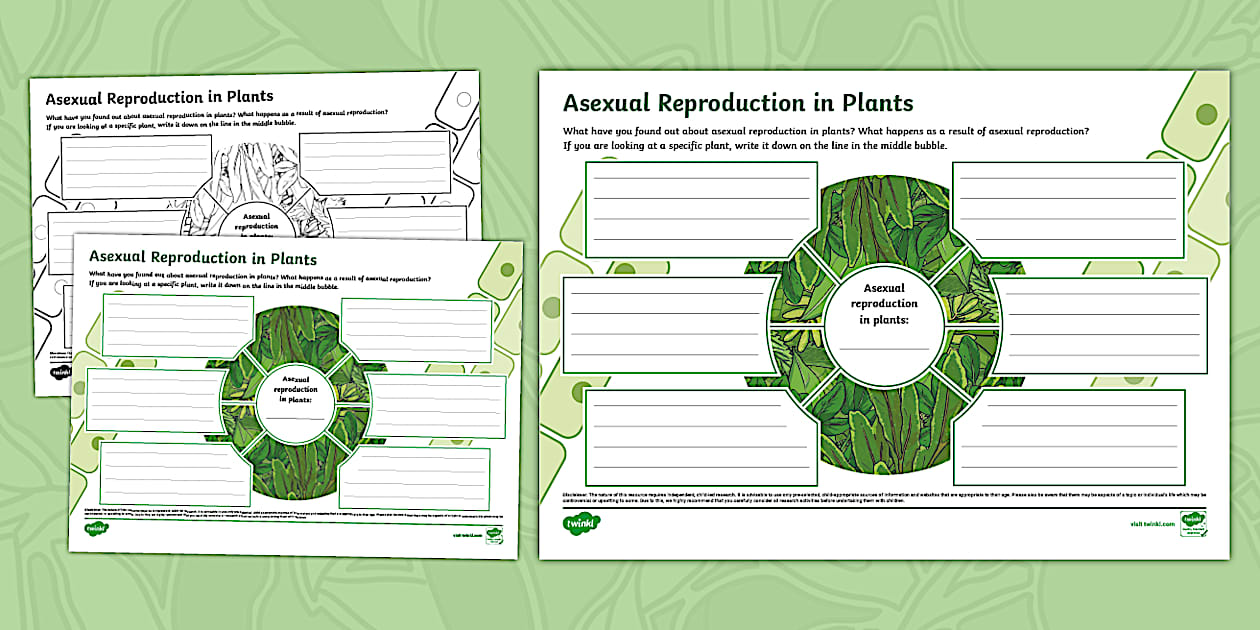 Asexual Reproduction in Plants Mind Map