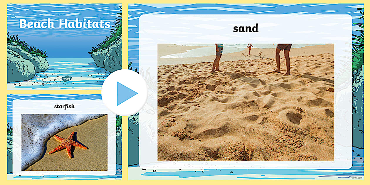 Australian Beach Habitat Photo PowerPoint (teacher made)