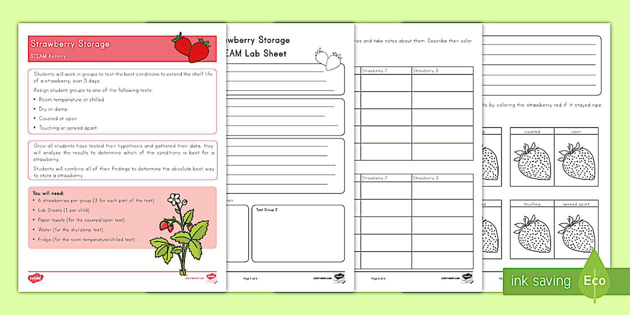 Strawberry Storage STEAM Worksheet (Teacher-Made) - Twinkl