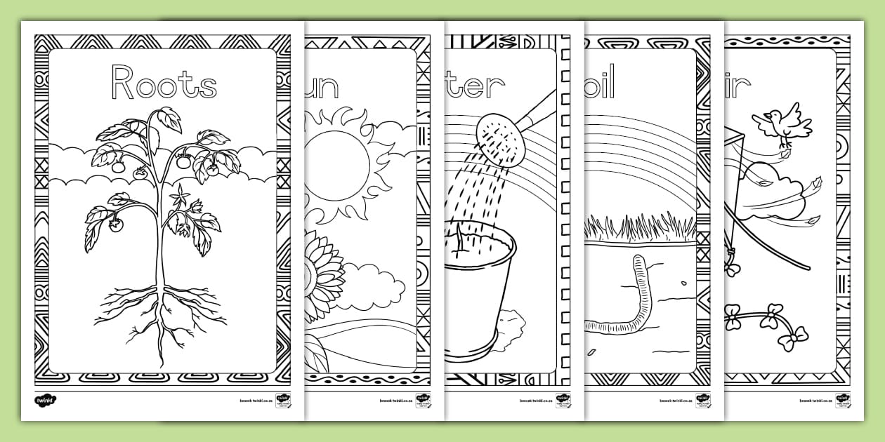 Life Skills - Colouring Sheet: What Plants Need to Grow