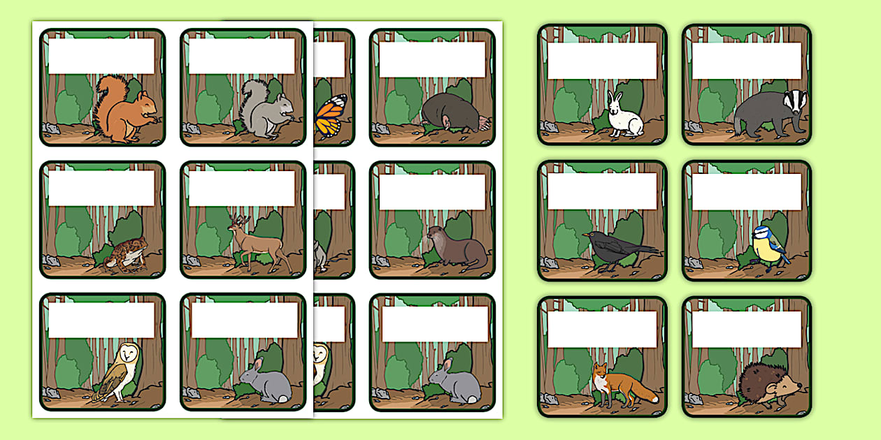 Editable Woodland Animals Themed Square Peg Labels - Twinkl