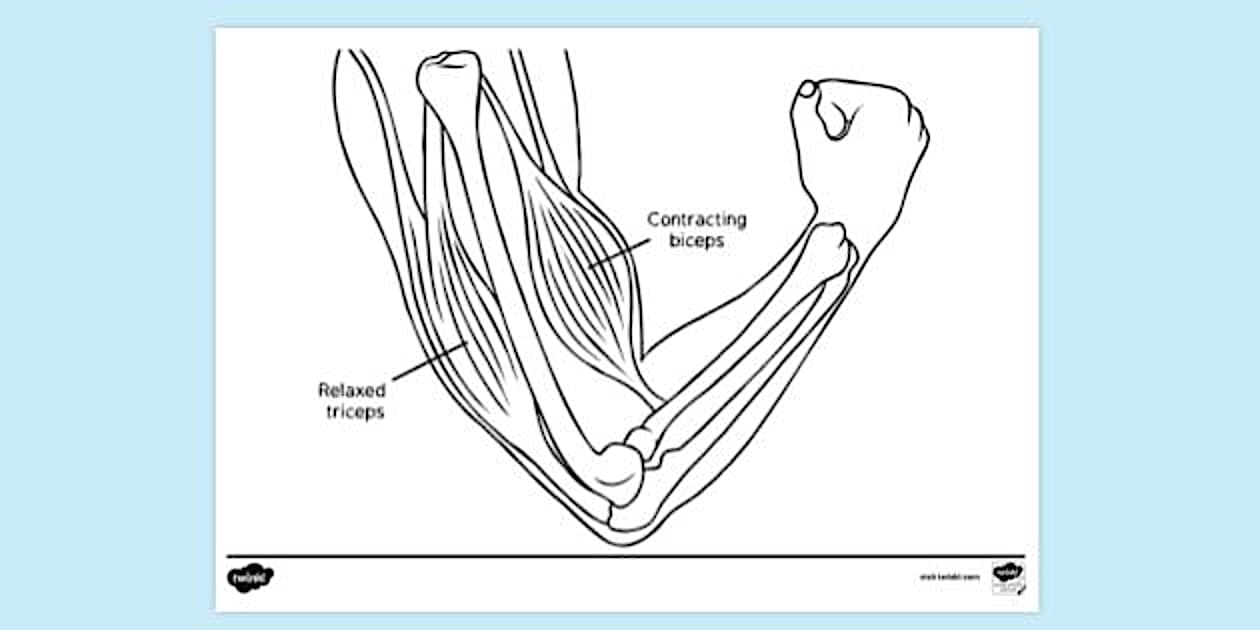 Colouring | Colouring Sheets (teacher made) - Twinkl