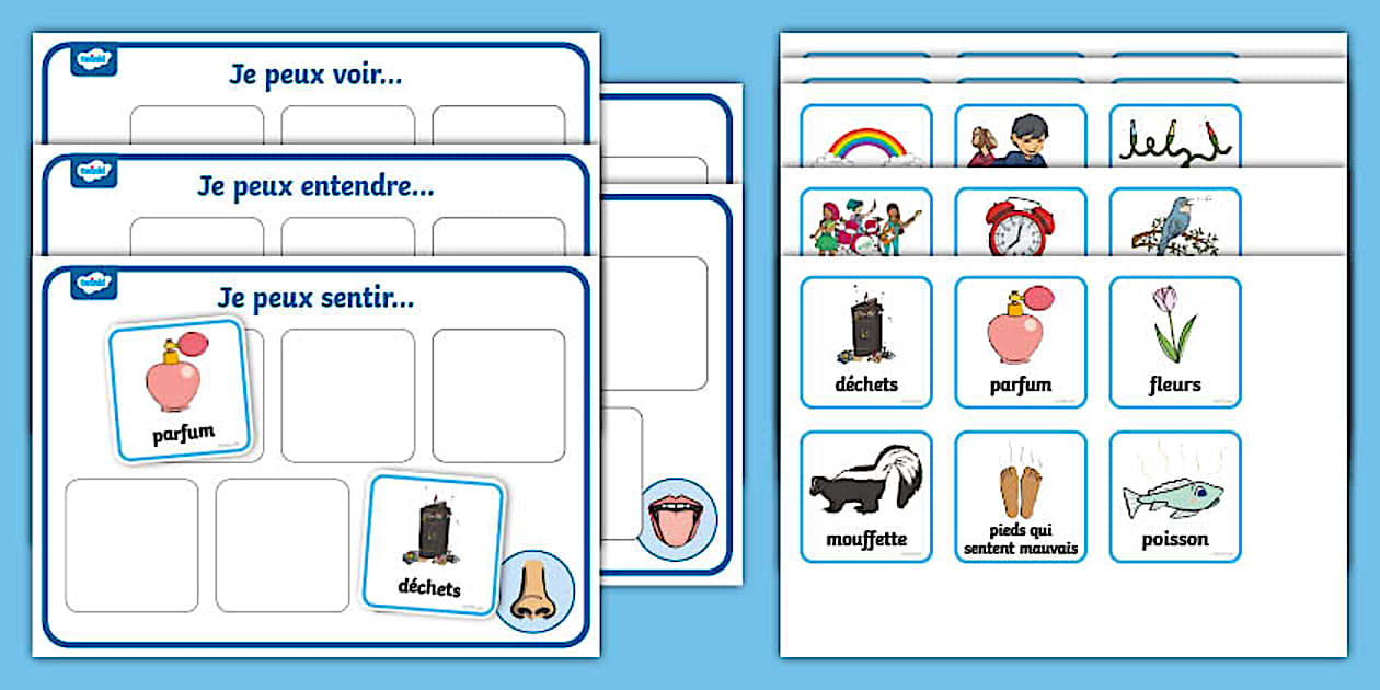 Activité de tri : Les cinq sens